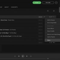 How do I find my Spotify URI link? - Musique Solutions
